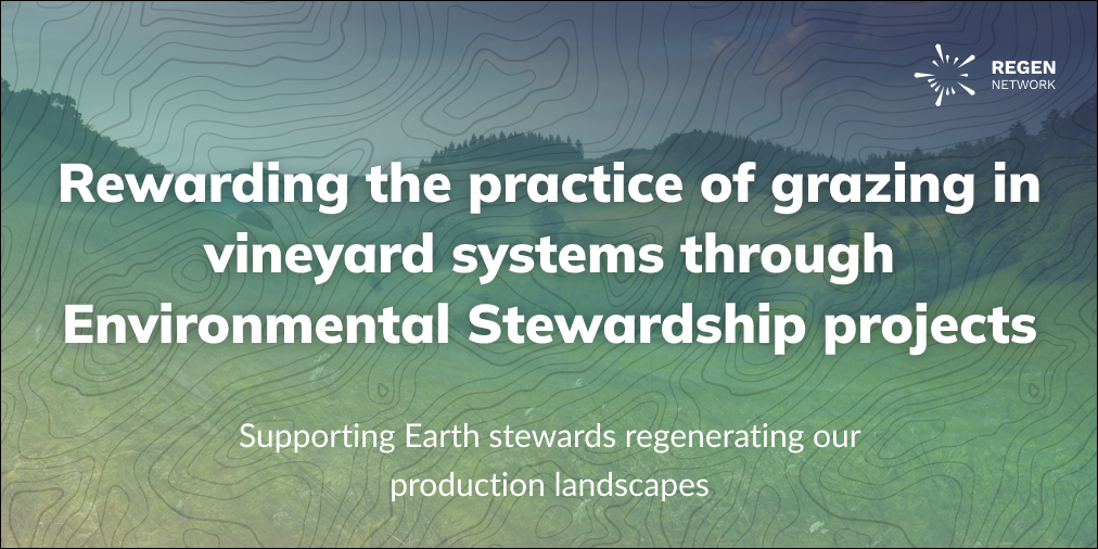 Introducing the Environmental Stewardship Initiative at Regen Network ...