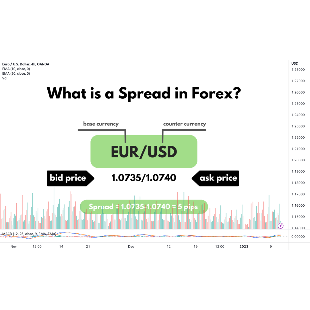 What is a Pip in Forex?. The world of Forex trading can be… | by ADMIN ...