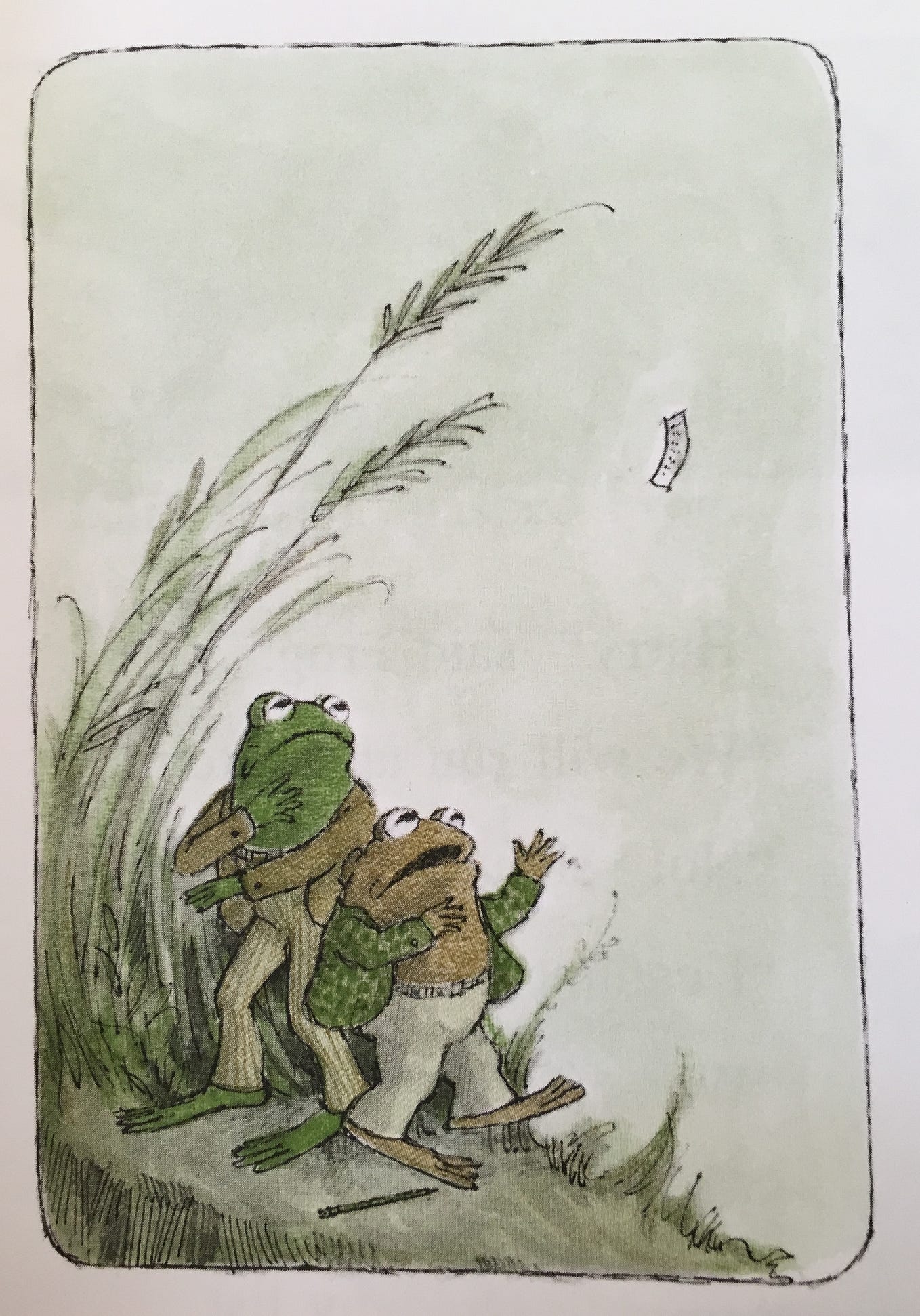 The Aphorism. Toad Tries to Sum It Up In One Easy… | by Timothy | Frog ...