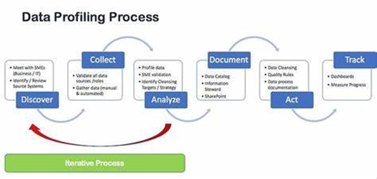 The best Data Profiling Services in India: Which One Reigns Supreme ...
