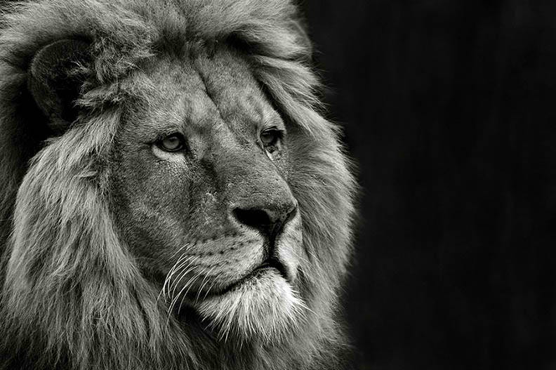 1 Hour of Accomplishment. We’re always moving; unable to stop and… | by ...