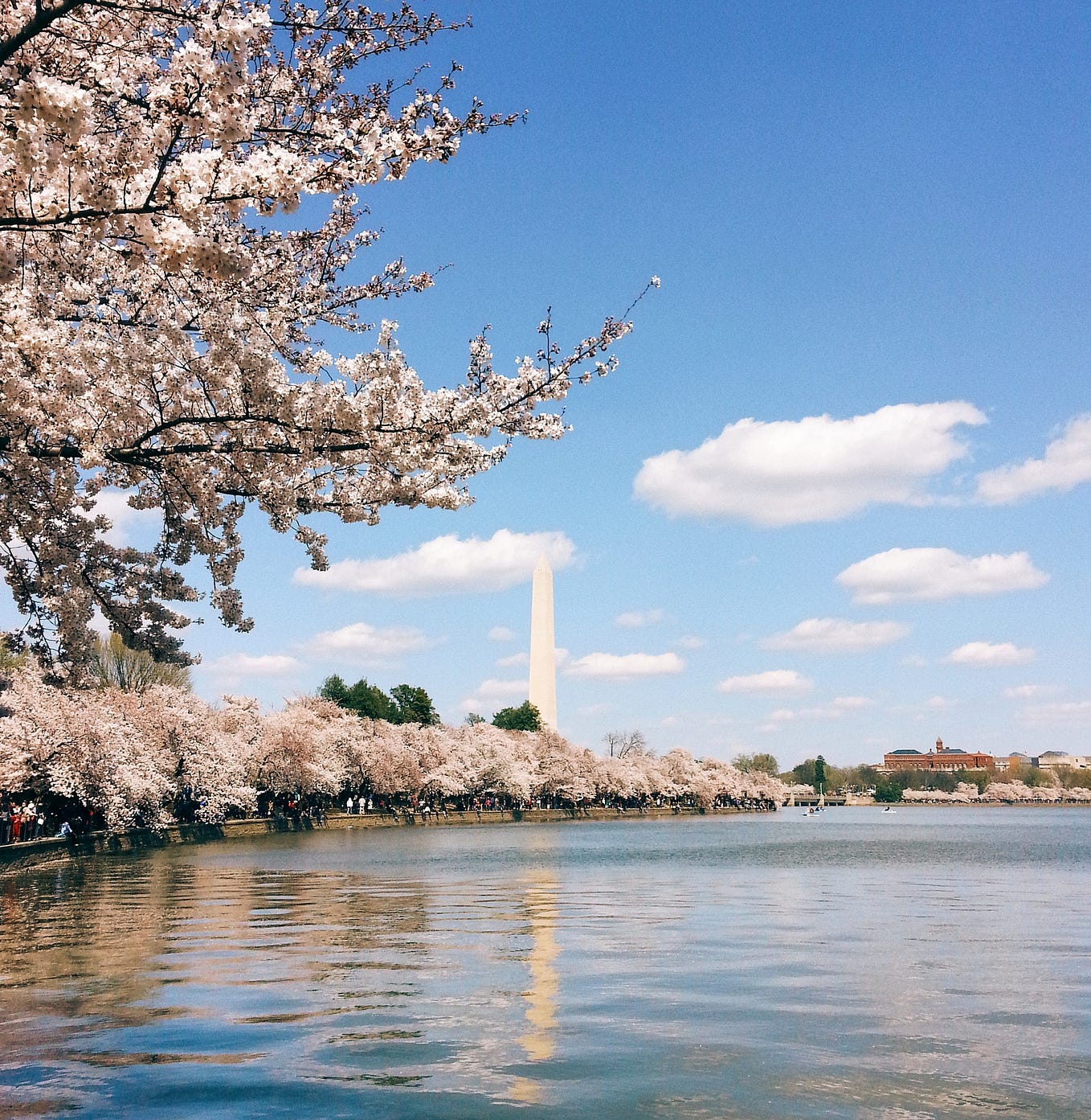 Human languages vs. Programming languages | by Ana | Medium