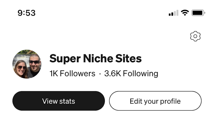 Absolutely! - Super Niche Sites - Medium