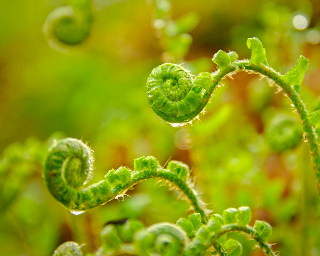 Five benefits that come, just from looking for the opportunities in a ...