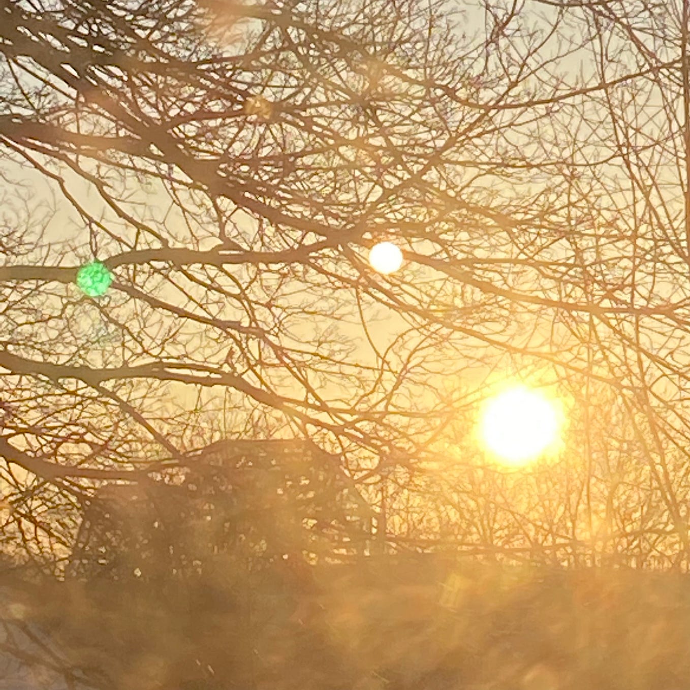 Morning Window 21 Feb 22 - From the morning window - Medium