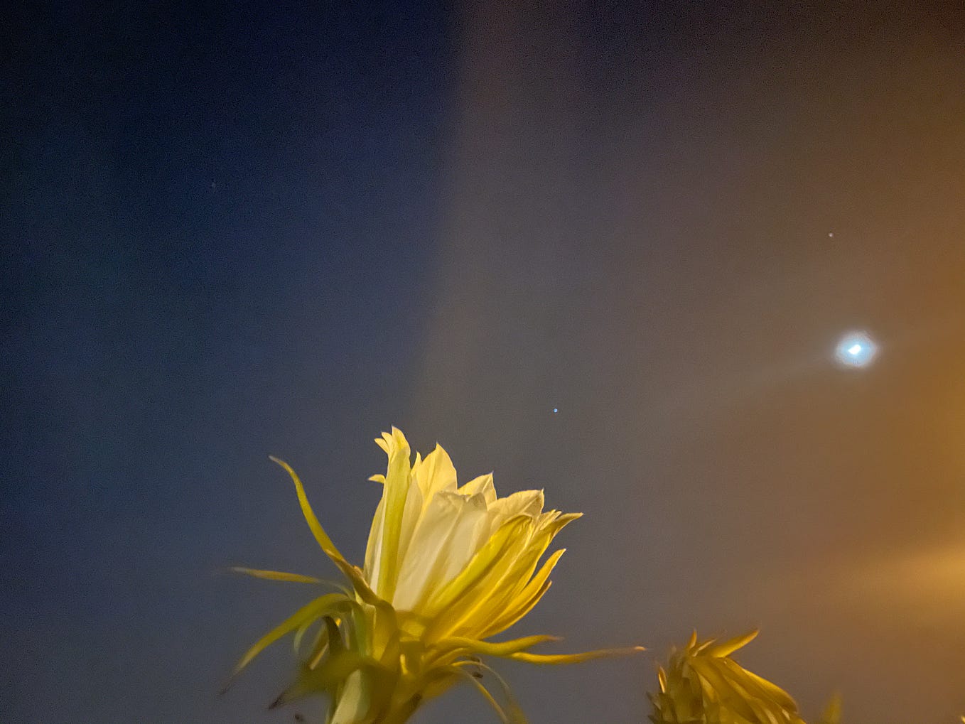 《Whispers of Souls 》Perfection.. The imperfections look the most… | by Boundaries in ...