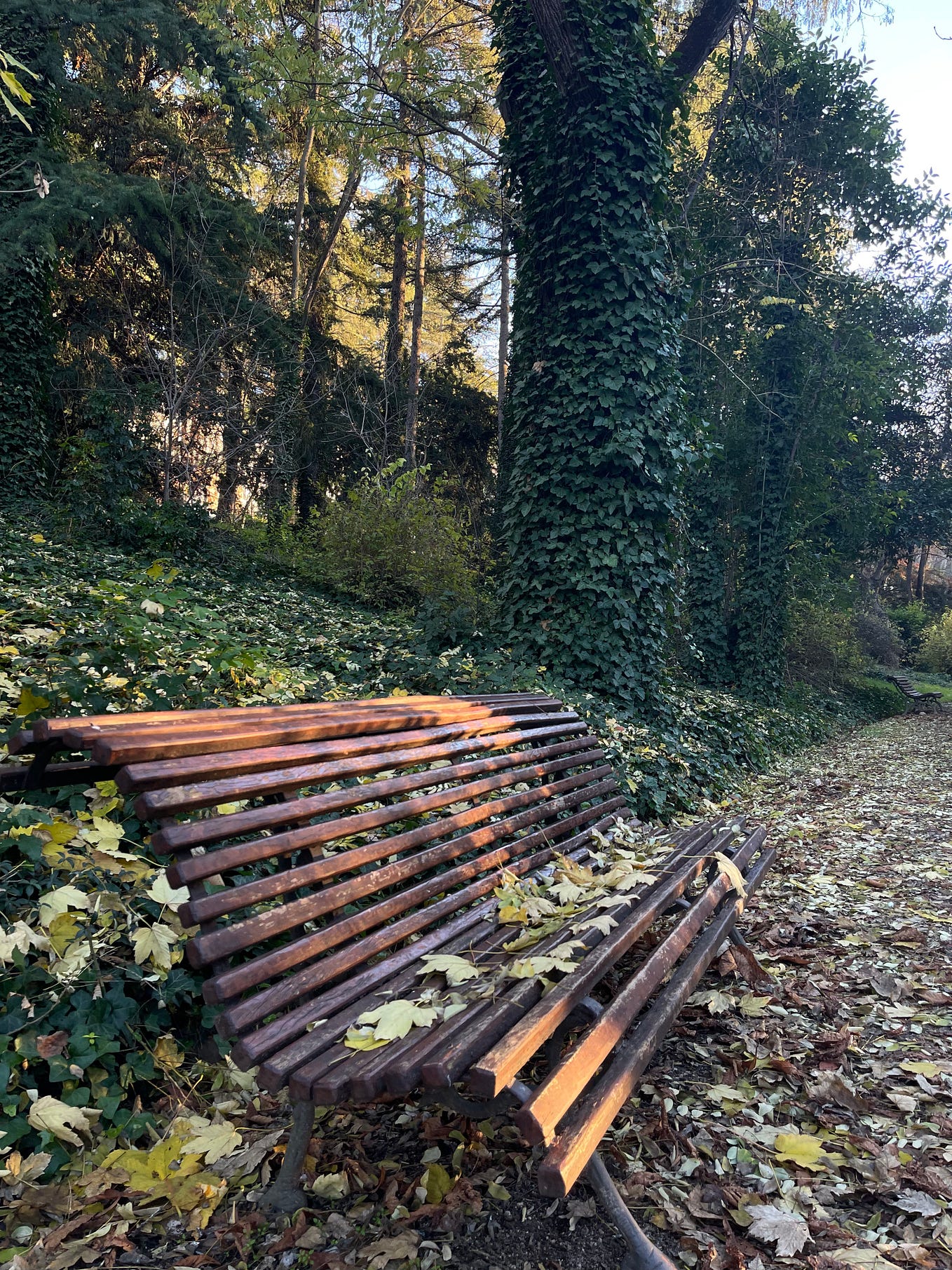 Terramay Arrival. The rolling hills of Alentejo stretch… | by Clara Macedo | Medium