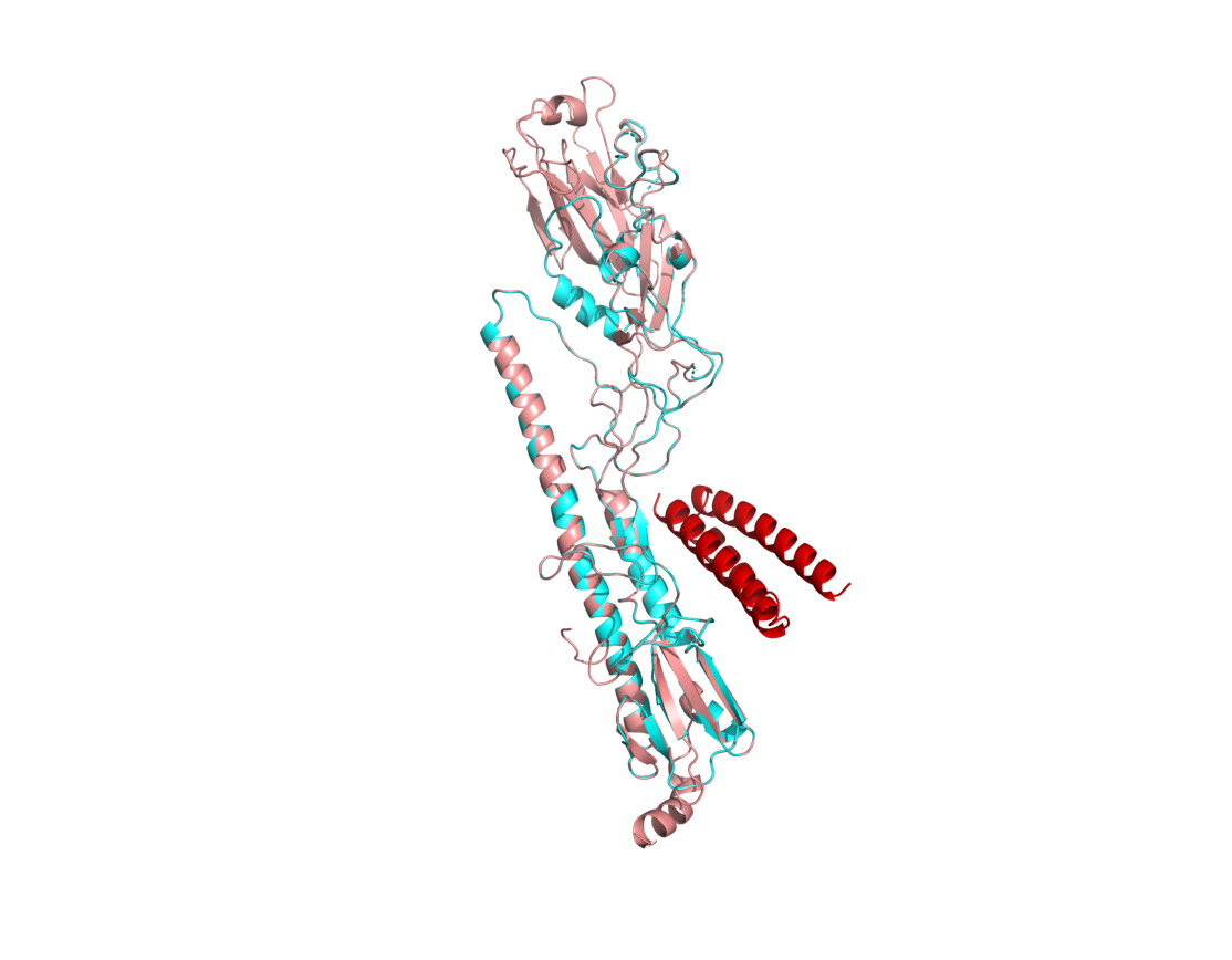 🔬smarter Pymol 3 Automate Molecular Figures With Python Beyond Pml By Yarrow Madrona