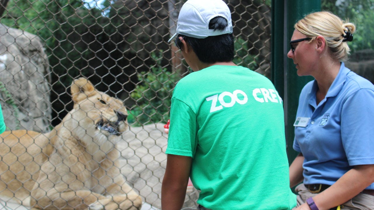 A Day in the Life of a Zookeeper: Behind the Scenes of Animal Care | by ...