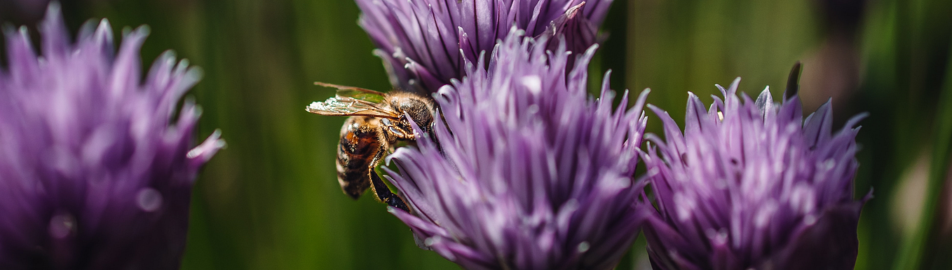 Consuming private NuGet feeds from Dockerfile | DevOps.dev