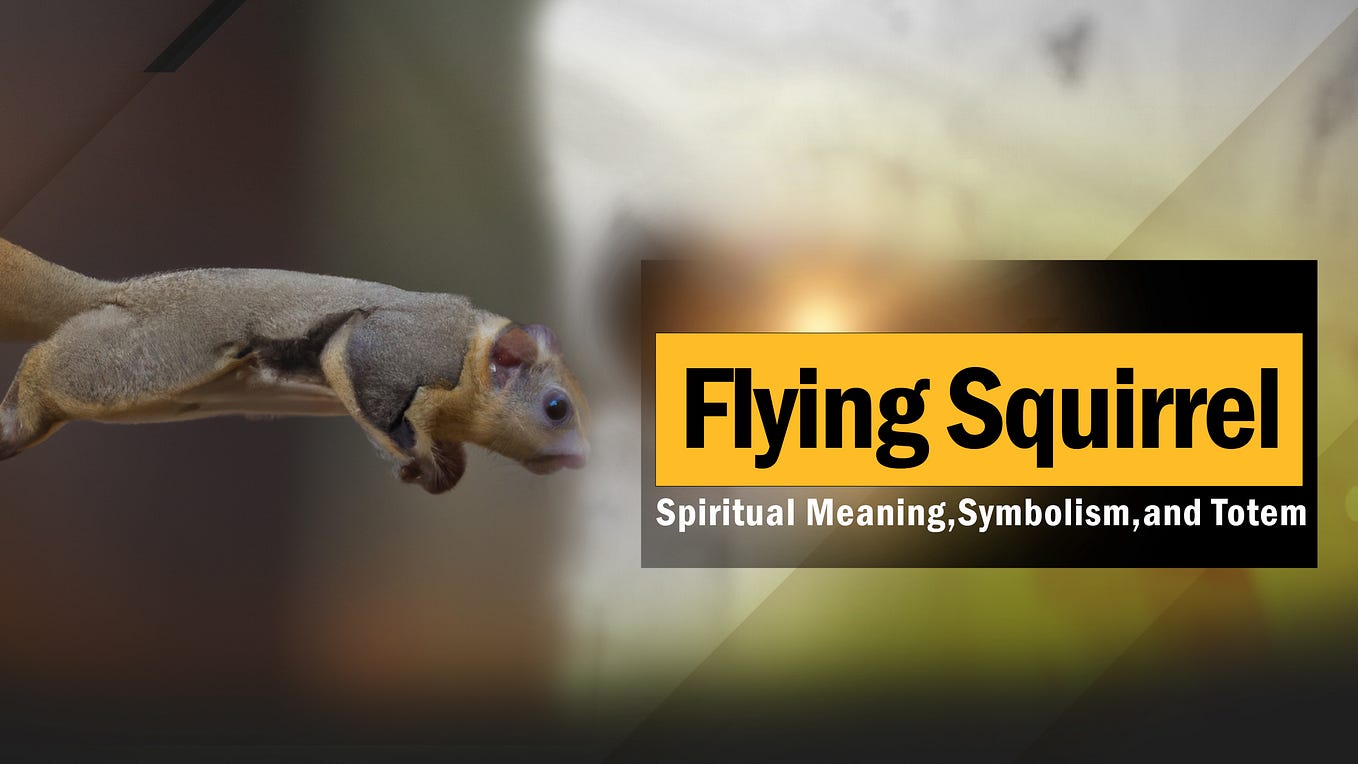 Bombay Cat Spiritual Meaning, Symbolism, and Totem - puppyplaying - Medium