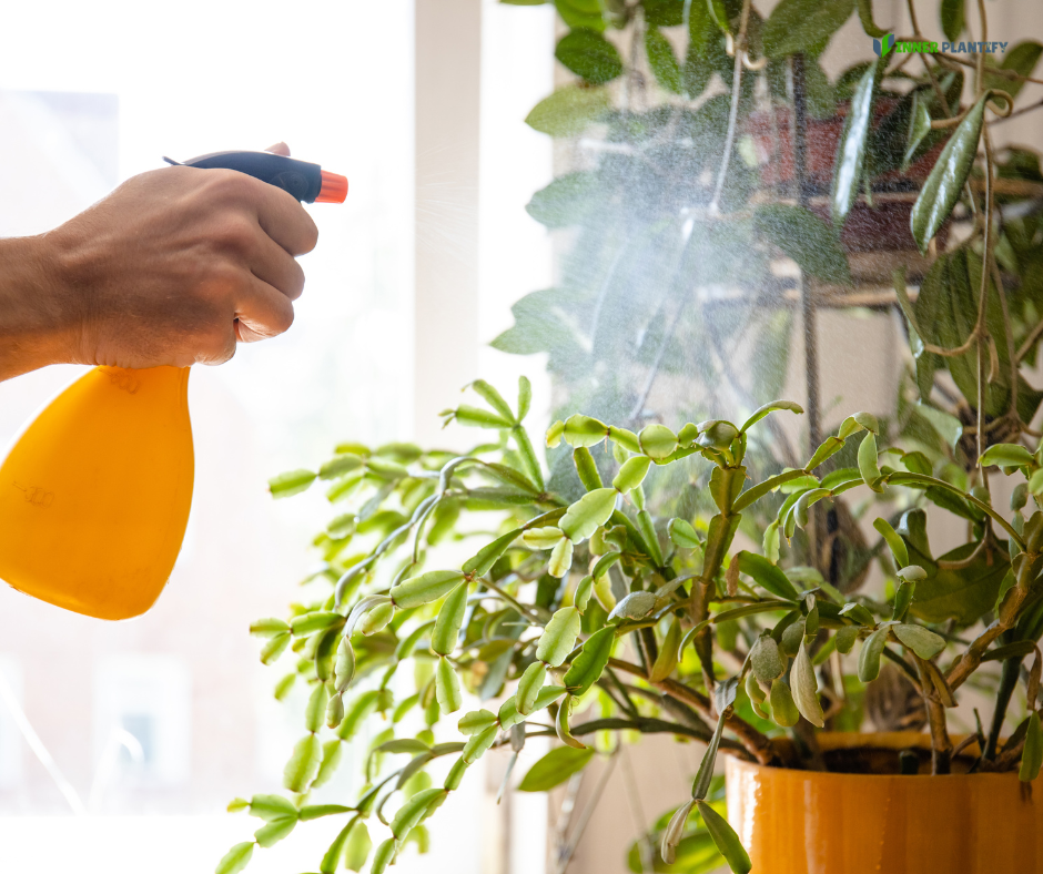 🌿 Exotic Plants: Nature’s Best-Kept Secrets Revealed 🌿 - Inner plantify ...