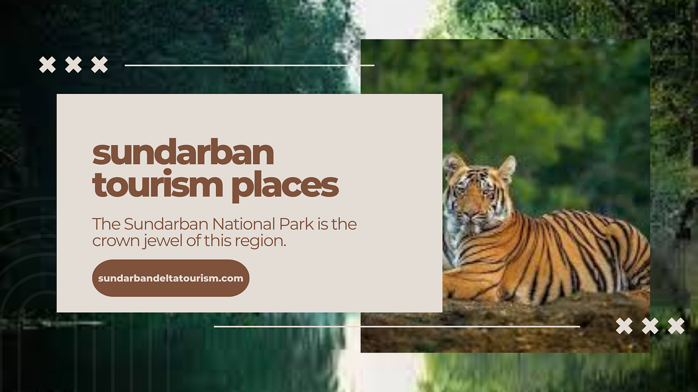 Exploring the Mysteries of Sundarbans with SundarbanDeltaTourism | by ...