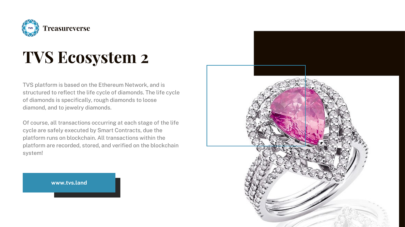 TVS Ecosystem 1 - TVS Global Platform - Medium