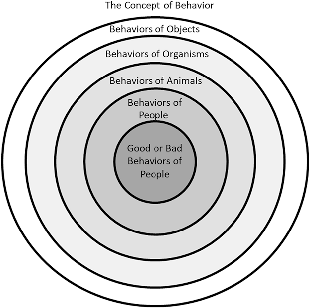 Now UTOKing: Cognition. In this blog and video series, we… | by Gregg ...