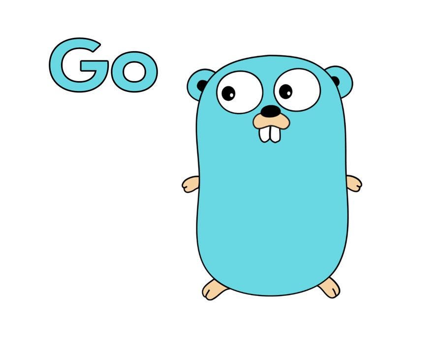 Introduction To Duck Typing In Typescript By Naaman Hirschfeld Javascript In Plain English