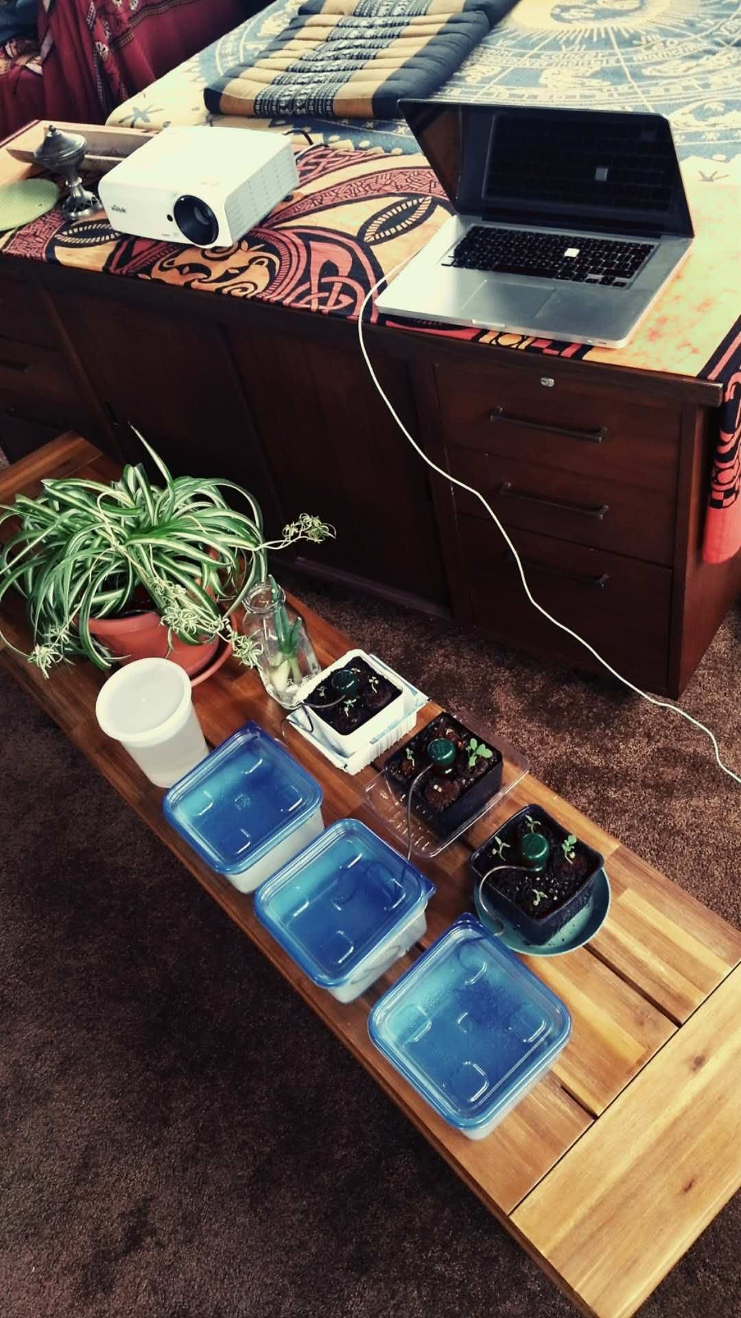 The new Wikipedia appearance that took the whole village | by Jon ...