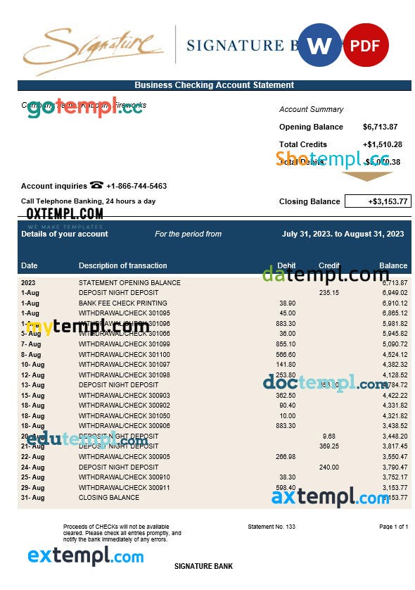 First Citizens Bank business statement Word and PDF template download ...