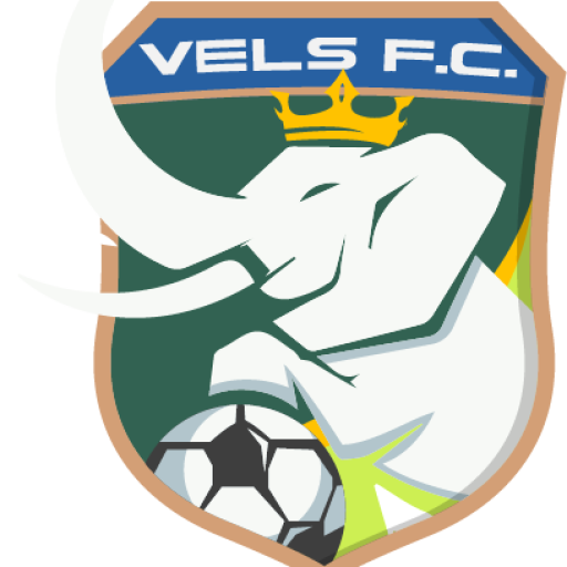 Why VELS Football Club is the Ultimate Sports School for Aspiring ...