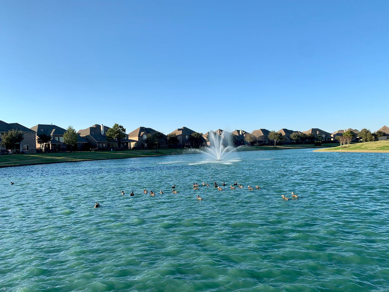 5 Beautiful Pink Snakes In The World (With Pictures) Update Aug 2024 ...