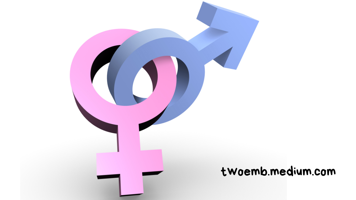 Gender Diversity Throughout History & Across Cultures | by Dawn Fifer ...