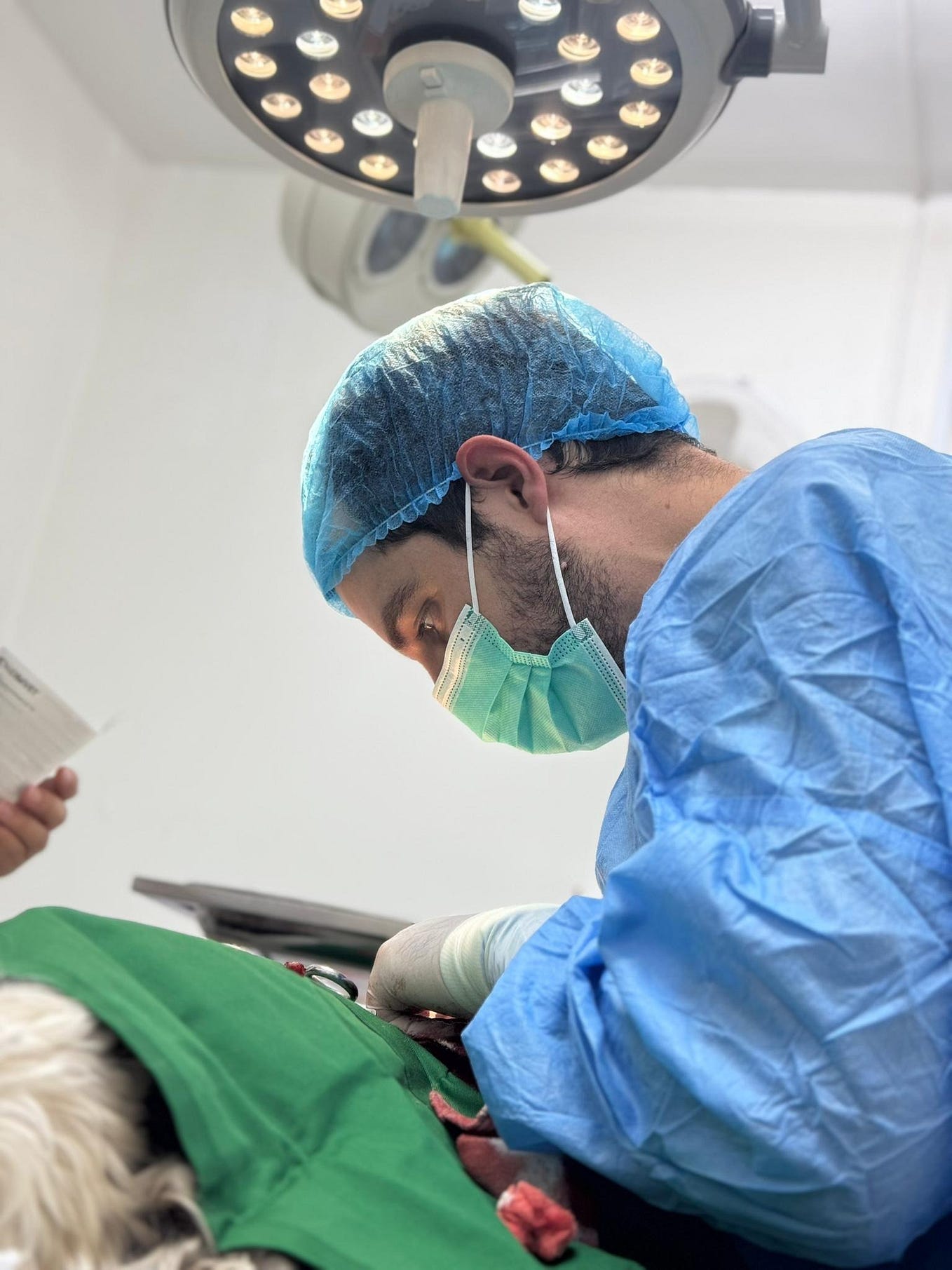 Veterinary Clinic Doha | Dohavets.com - Dohavets - Medium