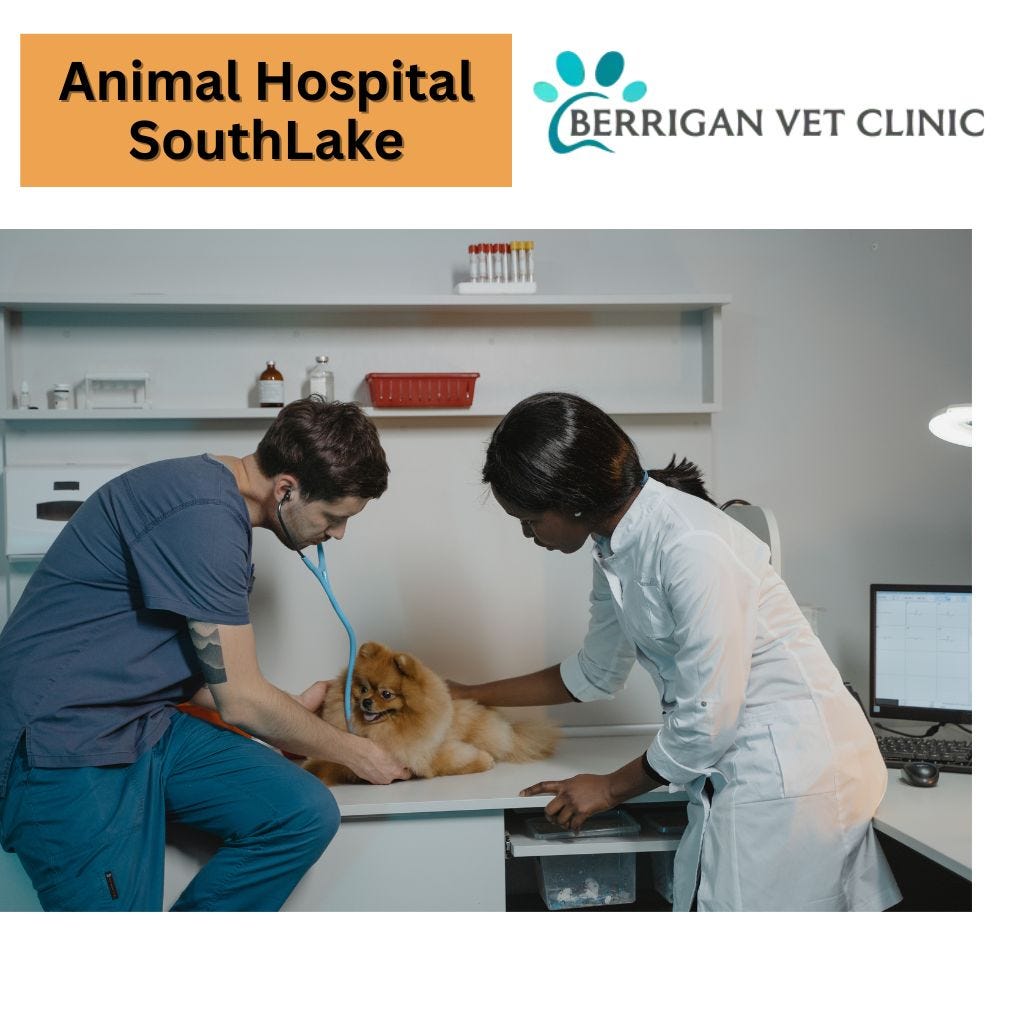 Berrigan Vet Clinic: Southlake’s 24-Hour Animal Emergency Hospital | by ...