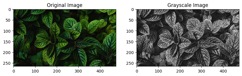Find similar image using Image hashing or perceptual hashing with OpenCV and Python : | by Ahin ...