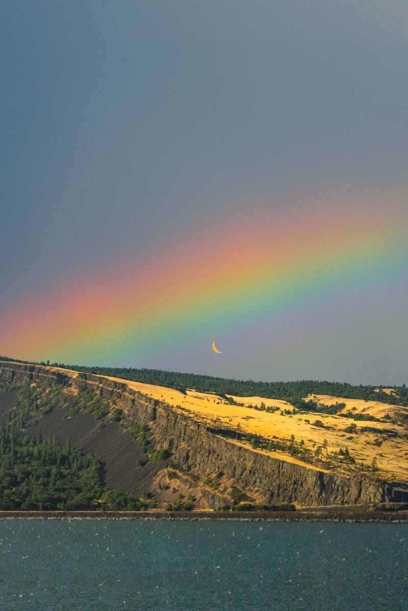 The Innocent Risk Takers. It may be a bit chewed up, but I like… | by Aviya Arika | Medium