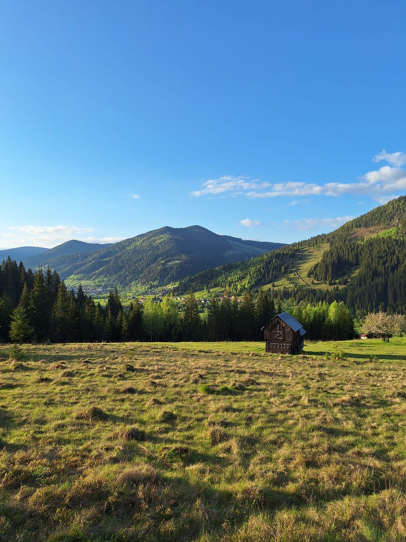 Javascript Array Methods When You Begin Developing With By Stefan