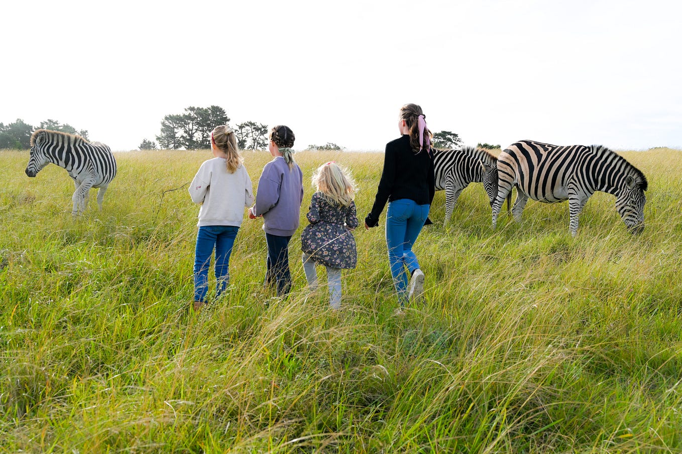 Here’s What You Need to Know About Packing for Amazing Family Travel ...