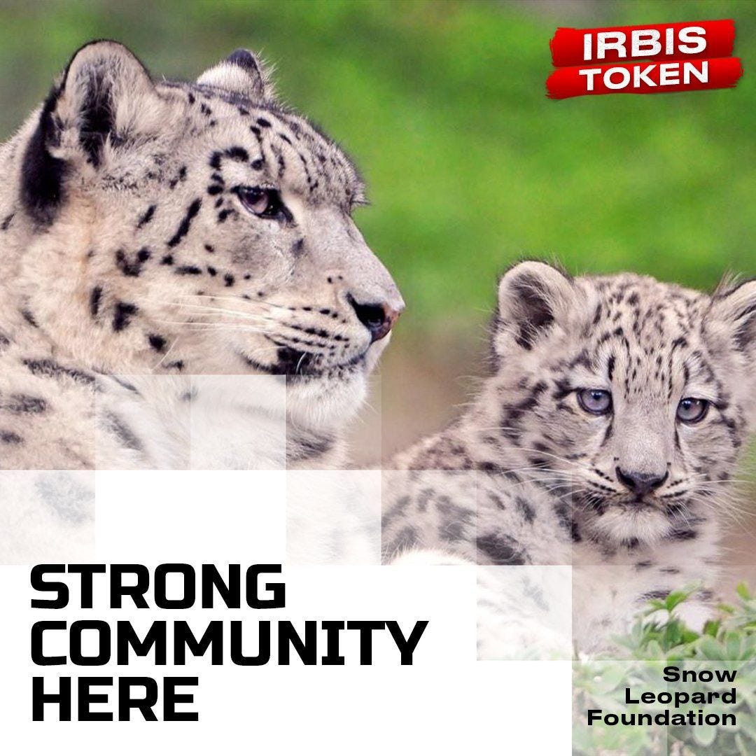 The Snow Leopard — IRBIS project goes beyond being just a ...