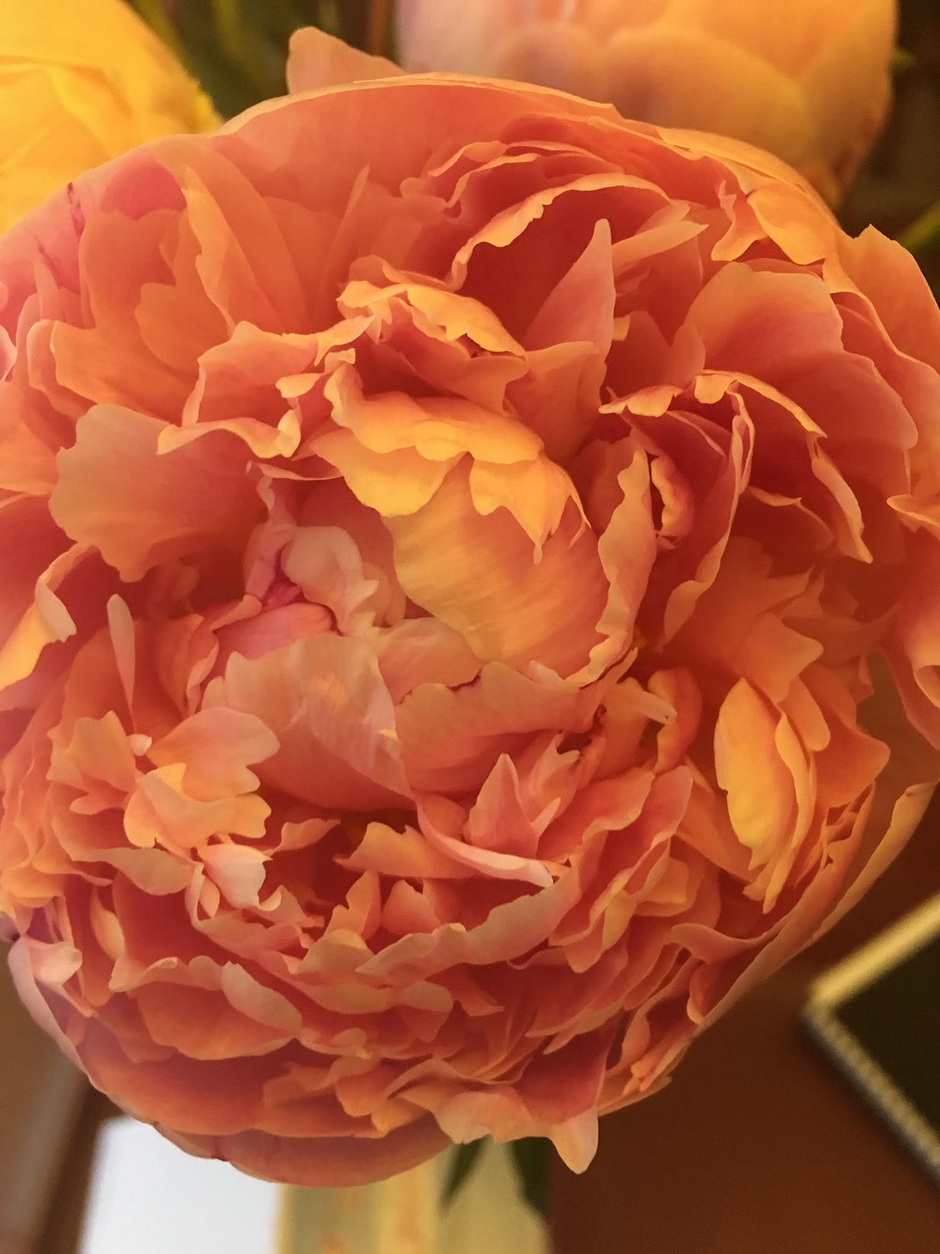 Not a Drill. Confession time. I’m a recovering… | by Katharina Bethea ...