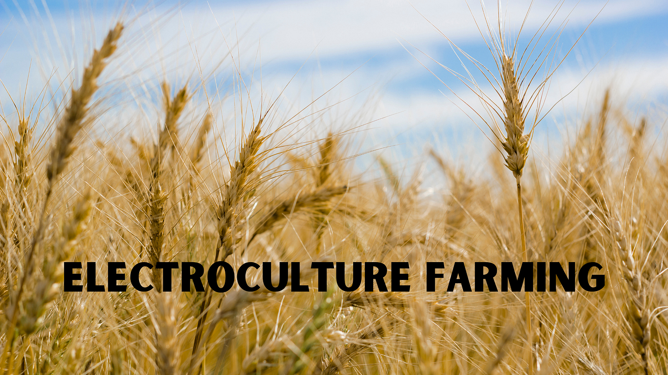 A Comprehensive ELECTROCULTURE Farming Guide | by Electroculture ...