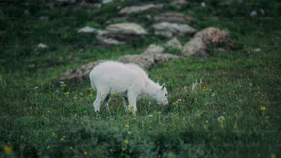 Dynamic Data Binding and Reflection in C#: A Practical Example | by Amina Mim | Medium