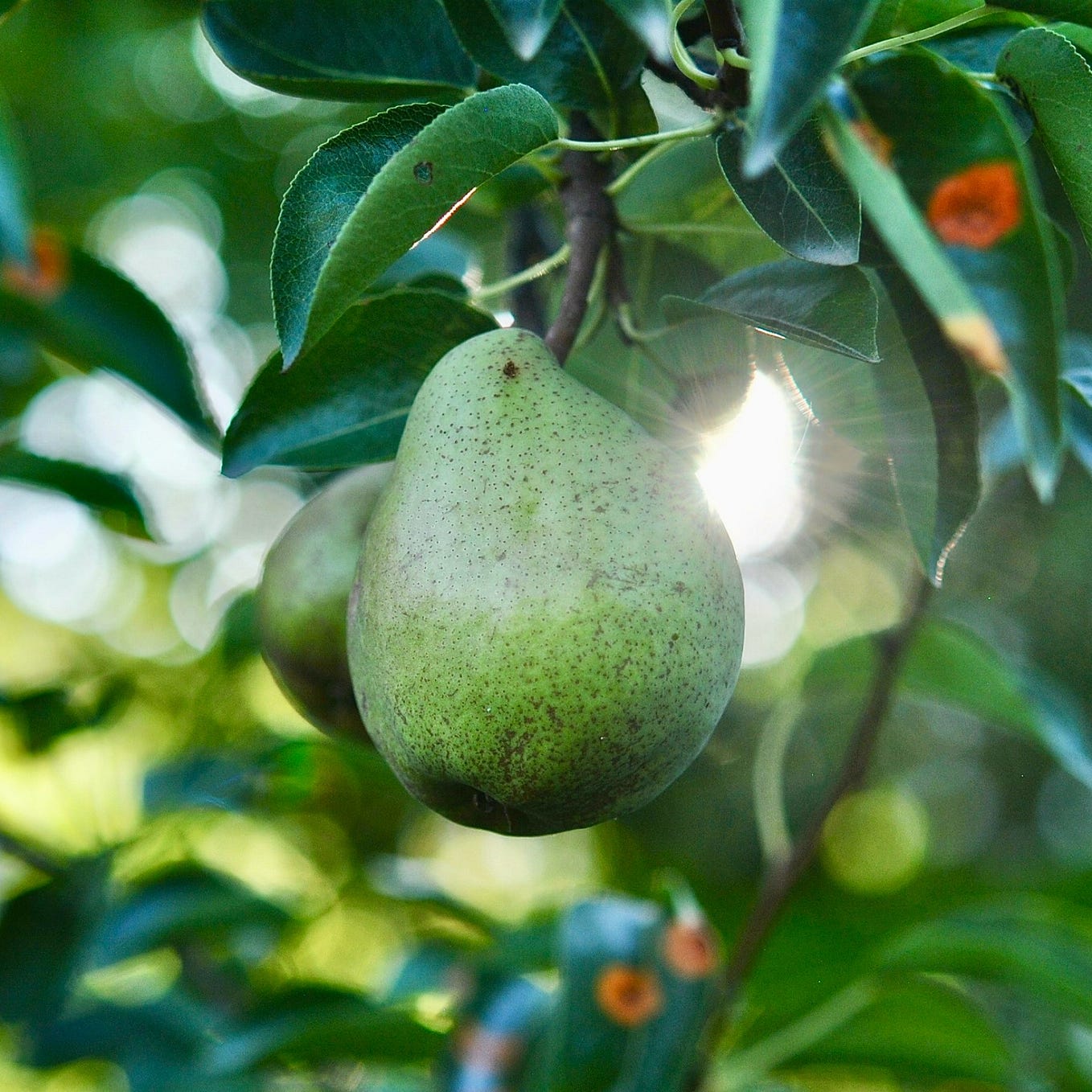 Muddy, moody and perfect ️ - Voice Lessons - Medium