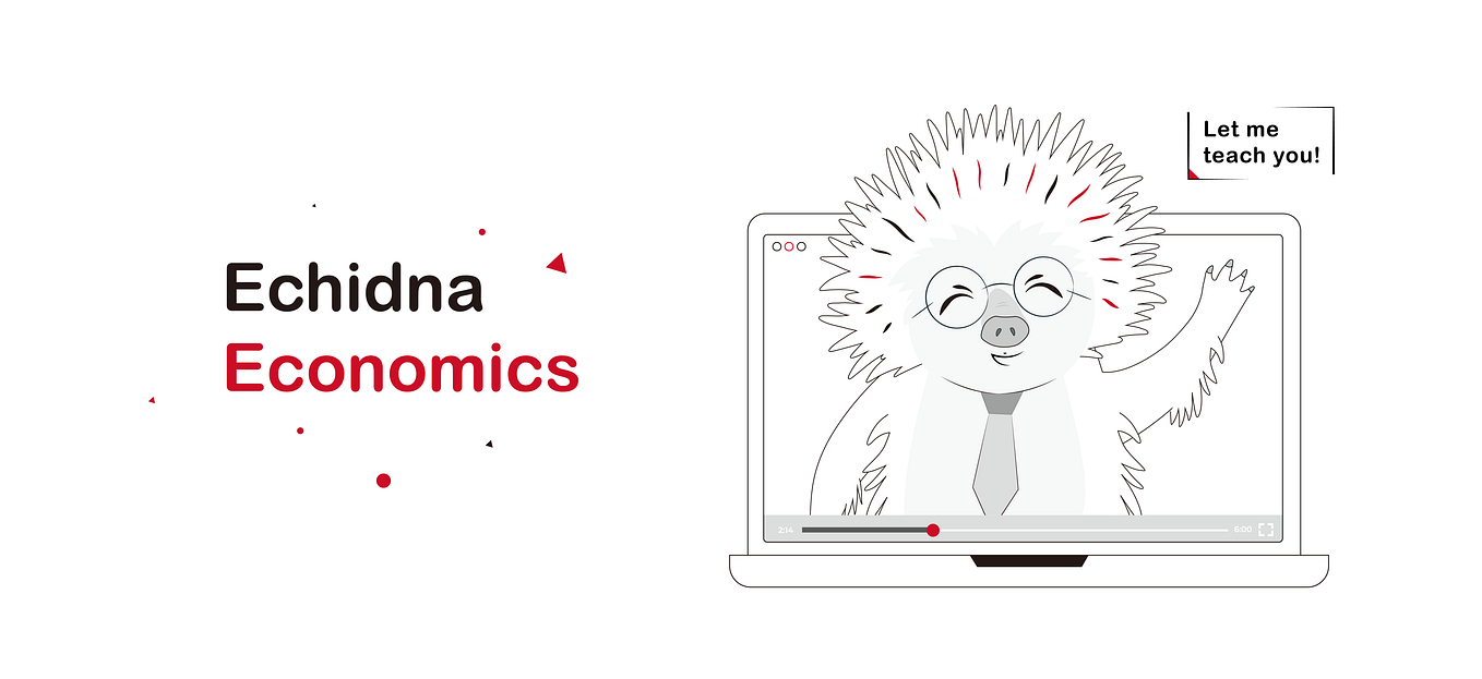 What is Echidna Finance?. Read more about our mission to become… | by Echidna Finance | Medium