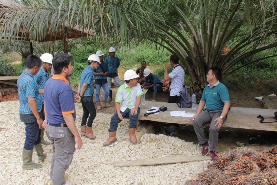 Palm Oil Blockchain: Traceability and Sustainability in Palm Oil ...