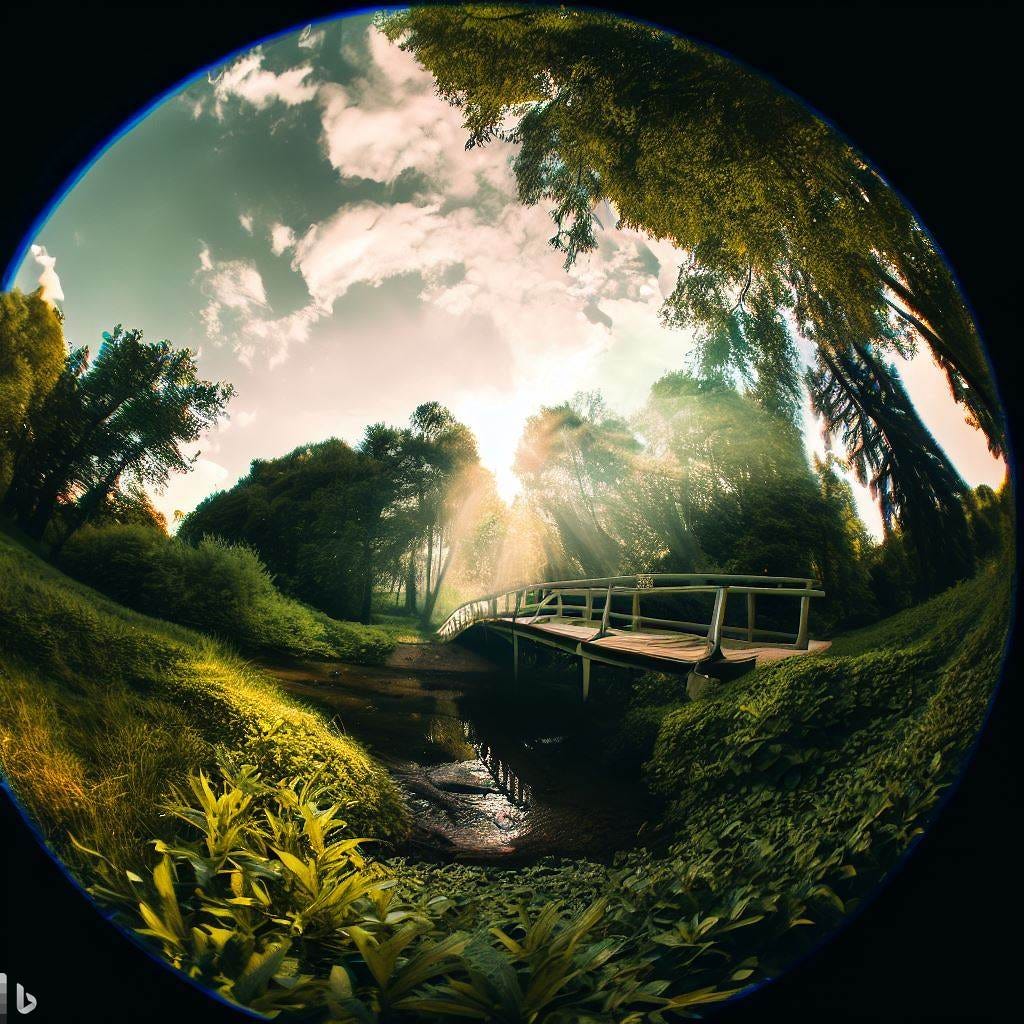 The Power of Visual Storytelling: Using Photography to Capture Emotions ...