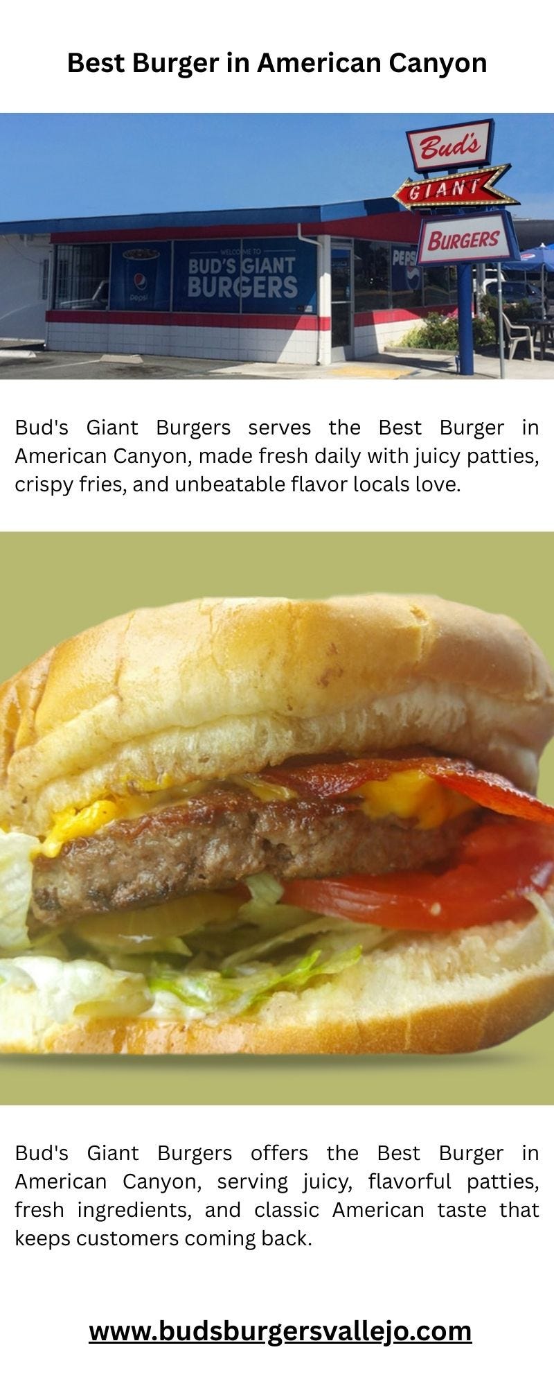 Best Burger in American Canyon — Bud’s Giant Burgers - Budsburgers - Medium
