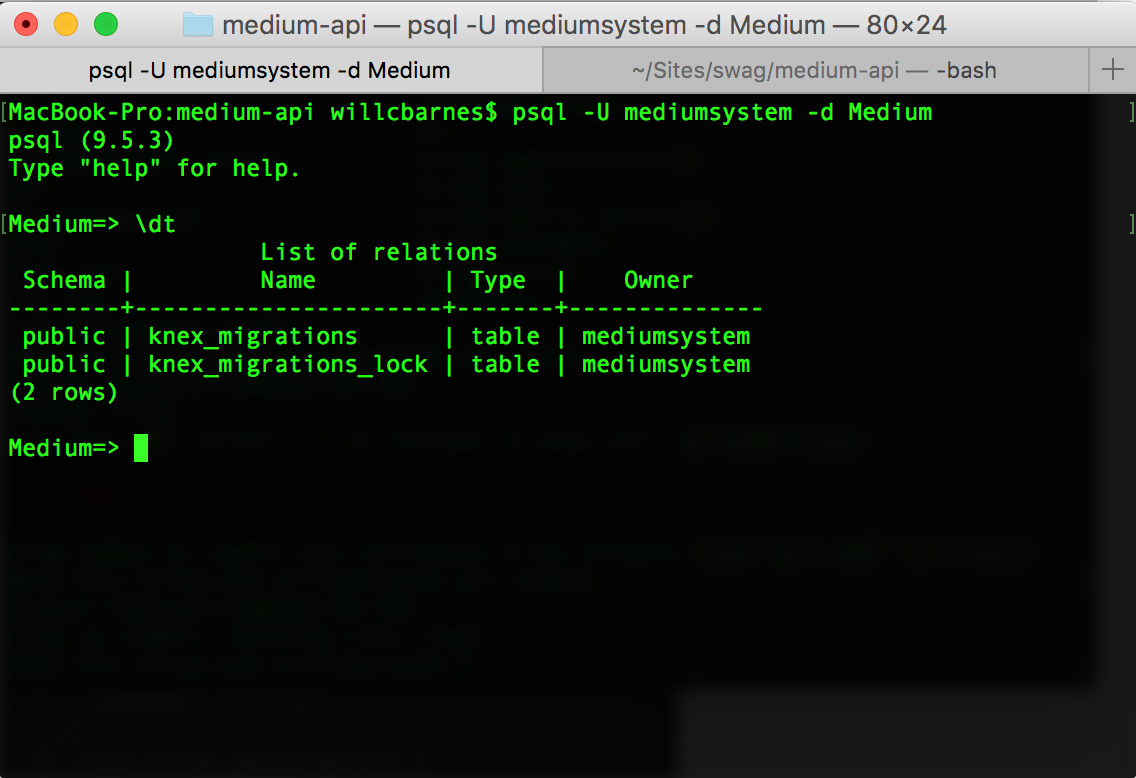 1.1 Swagger — initialize api project. | by Will Barnes | Medium