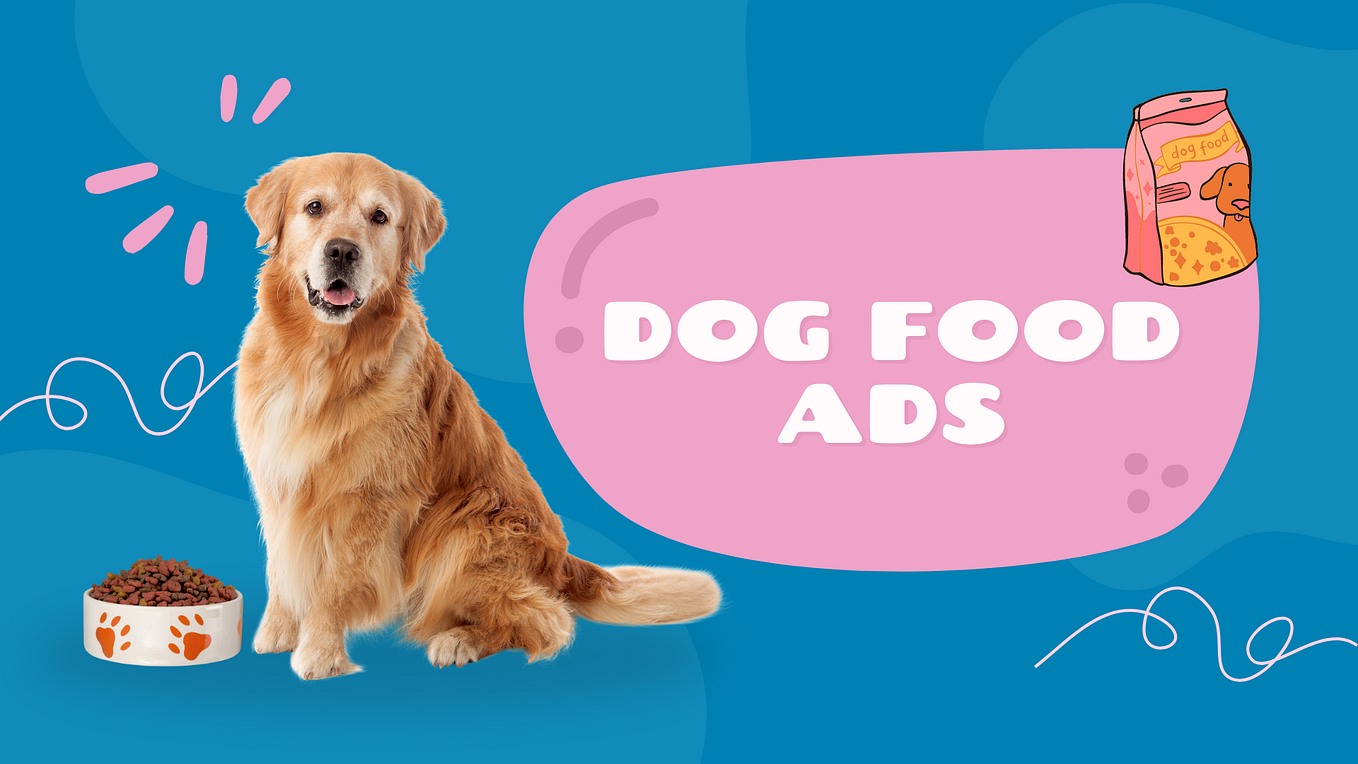 The Art of Crafting Engaging Video Campaign Ideas | by Mylanlyna | Aug ...
