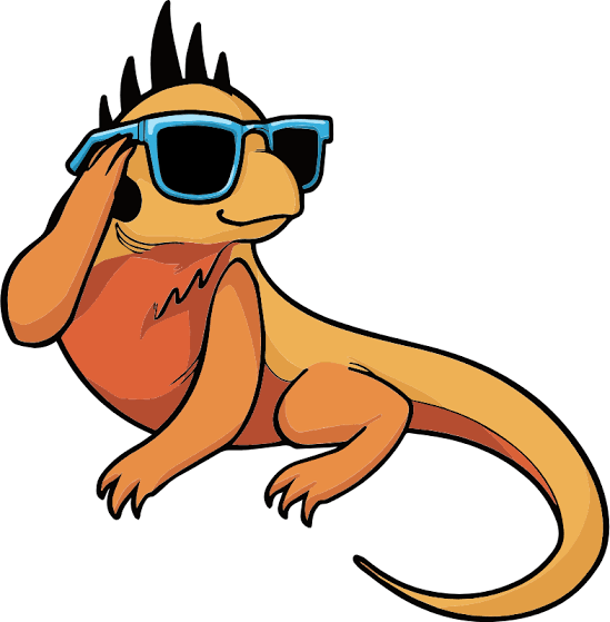 clean way to add optional fields in Golang | Medium