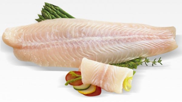 Fish Shop Near Me- What Fishes Are The Best In The Market? | by ...