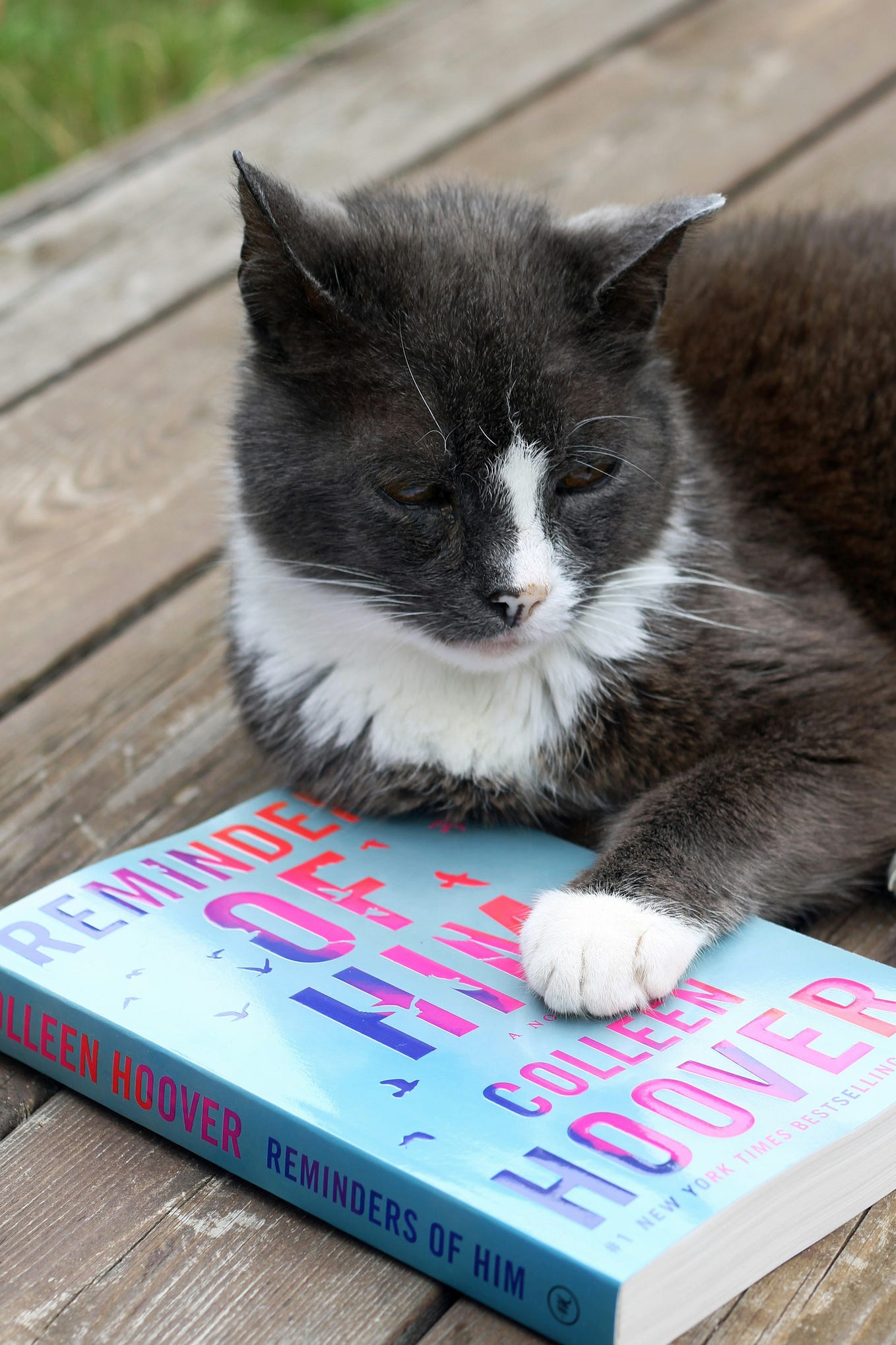 How Reading Can Literally Change Your Brain Chemistry | by Margaret Pan ...