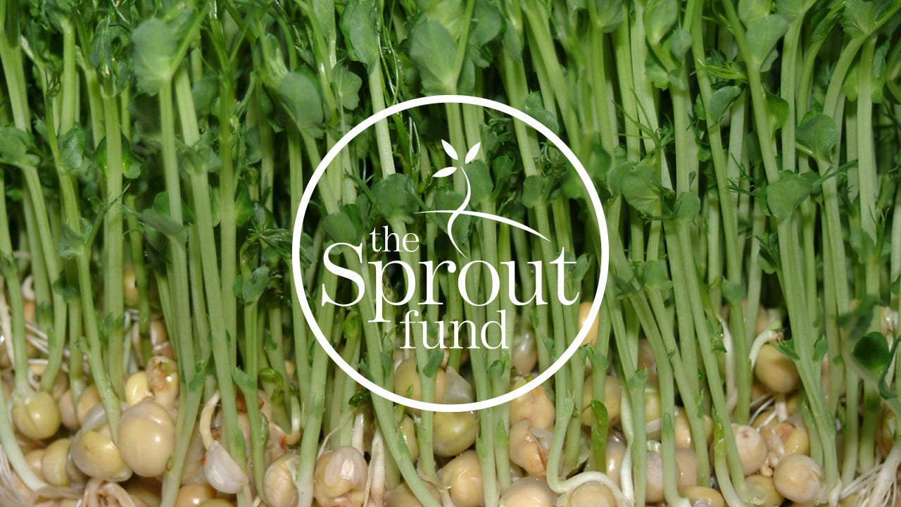 Introduction. How to Use This Resource | by The Sprout Fund | What We ...
