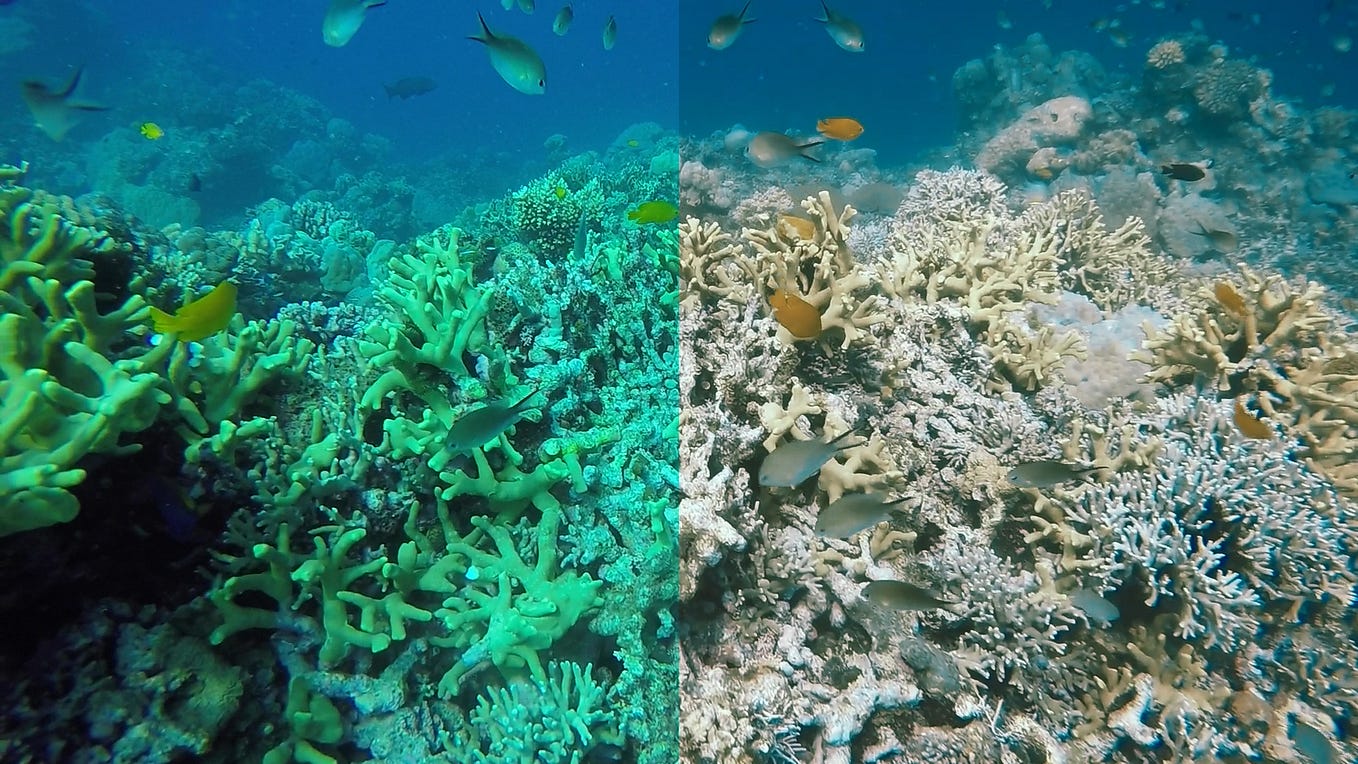 Building a CSS only responsive multi-level mega menu | by Victoria ...