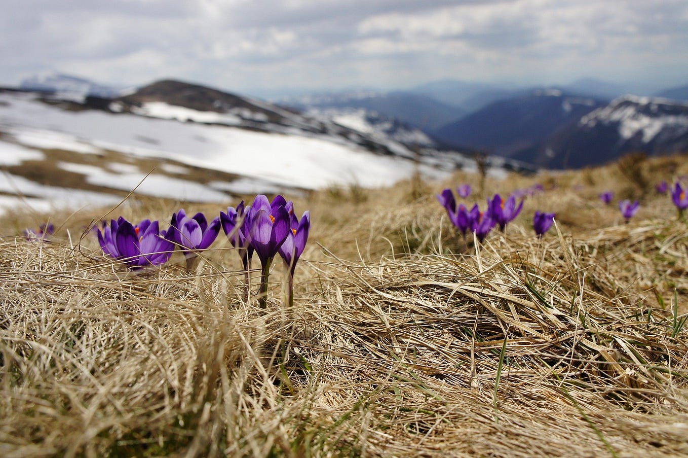 Make World a Better Place!. Growing up, i had so many ideas of how ...