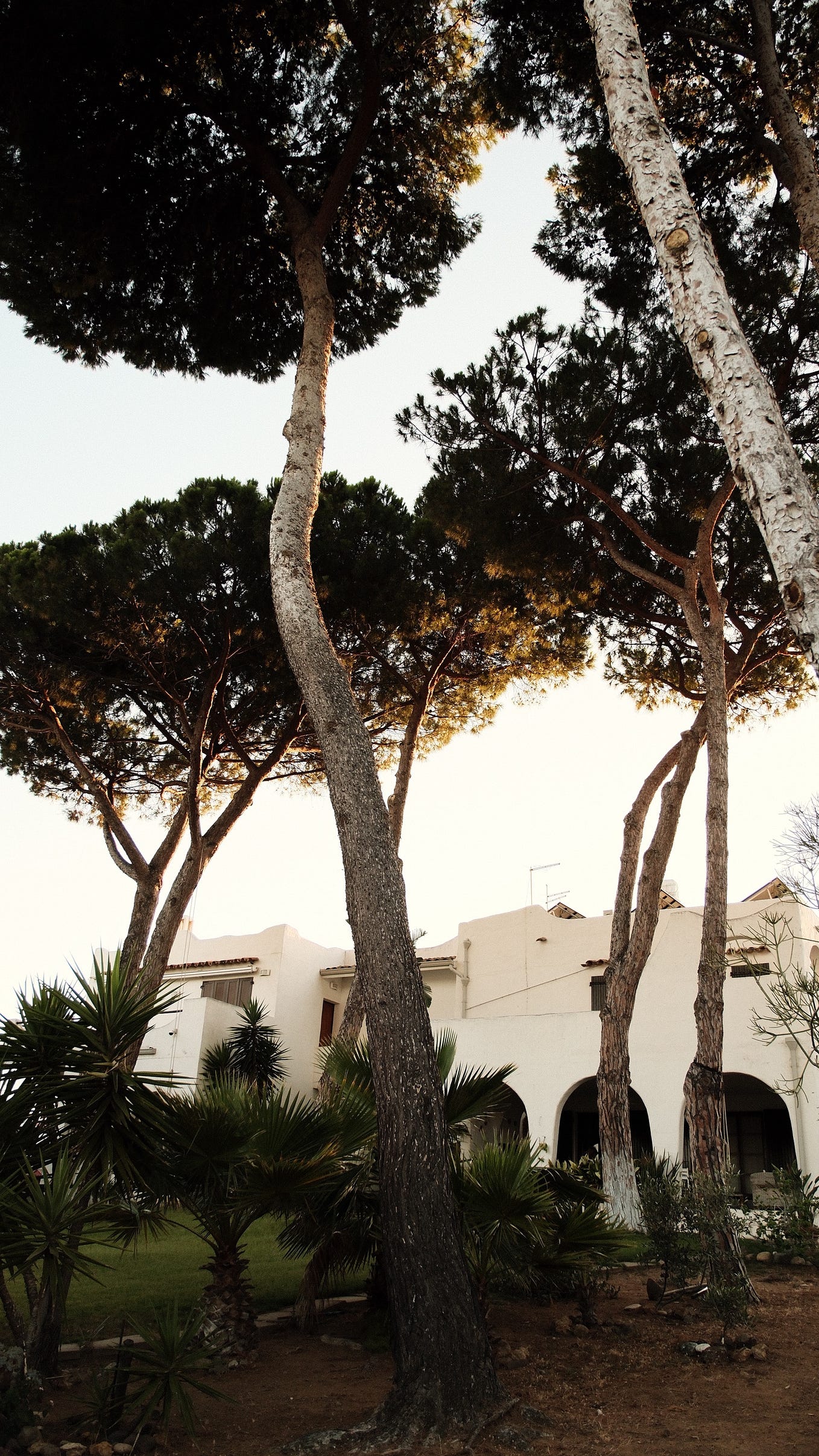 Walking Tour of Downtown. Vivaciously beautiful and ethereally… | by Dr ...