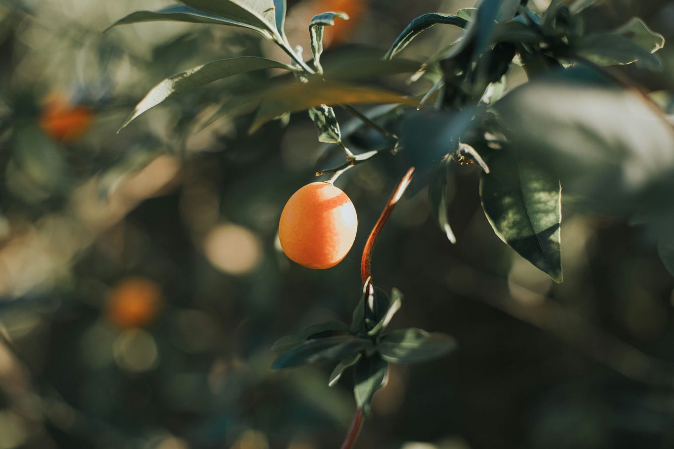 Structs And Arrays In Bigquery Understanding And Using Nested Data Structures By Guillaume